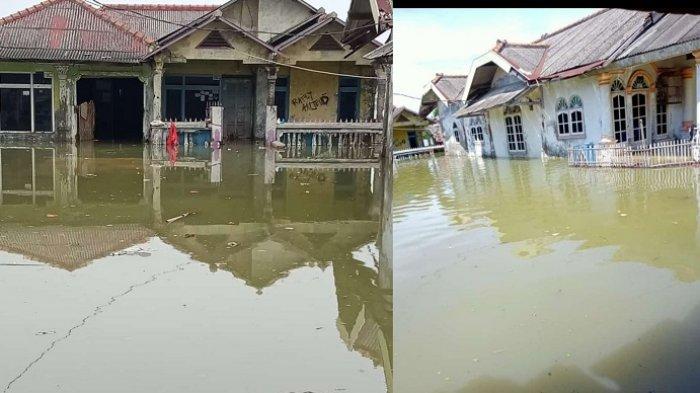 Hampir Setiap Bulan Warga Desa Pantai Bahagia di Kabupaten Bekasi Terdampak Banjir Rob ...