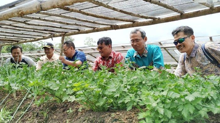 Desa Wisata Kreatif Terong Diminati Wisatawan Nusantara Hingga International - Posbelitung.co