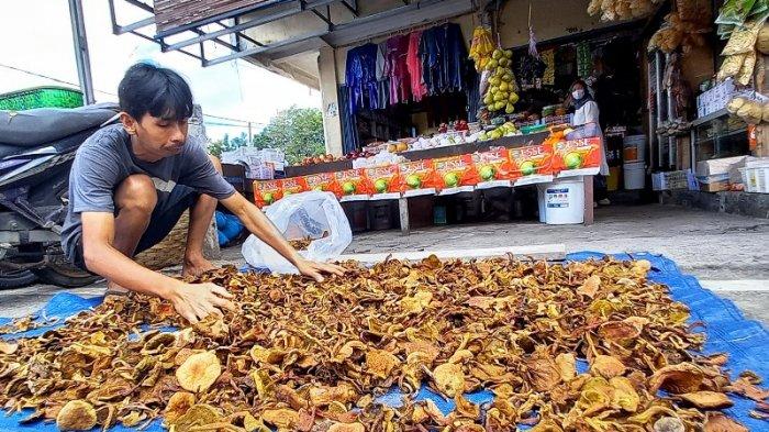 Harga Jamur Pelawan Kering Capai Rp 1 Juta Per Kilogram di Pasar ...