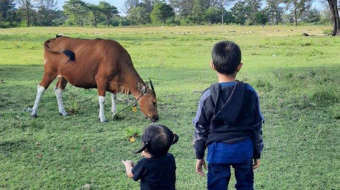 Pantai Golf, Destinasi Wisata Baru di Belitung Timur, Ada Spot Foto ...