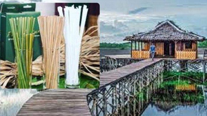 Wisata Belitung Danau Purun, Penghasil Sedotan Purun yang Mendunia ...