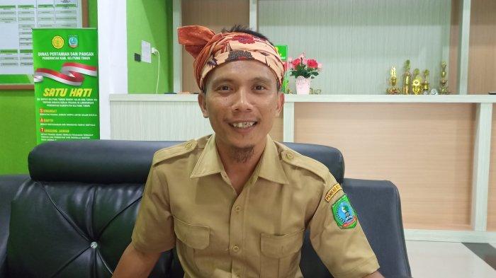 Kopi Gading dan Baguk Belitung Timur Belum Terkenal Seperti Muntok ...