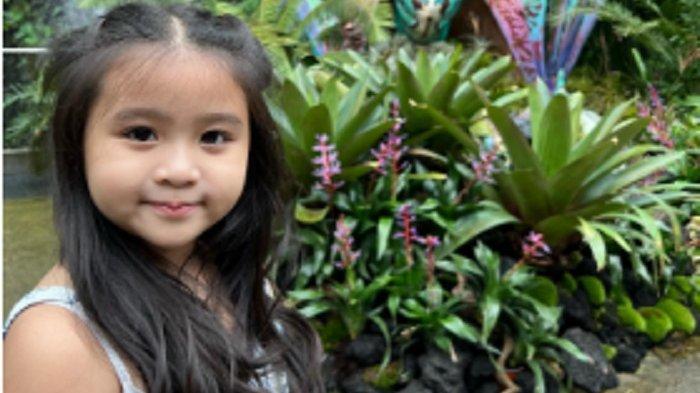 Biodata Moonella Sunshine Jo, Selebgram Cilik Bayaran Endorse Termahal ...