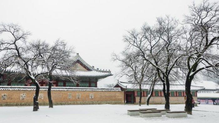 Wisata Alam, Nikmati Musim Dingin di Korea Selatan, Lakukan Aktivitas ...