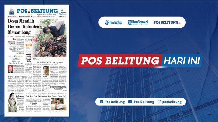 Sektor Pertanian di Bangka Belitung Terus Tumbuh, Desta Memilih Bertani ...