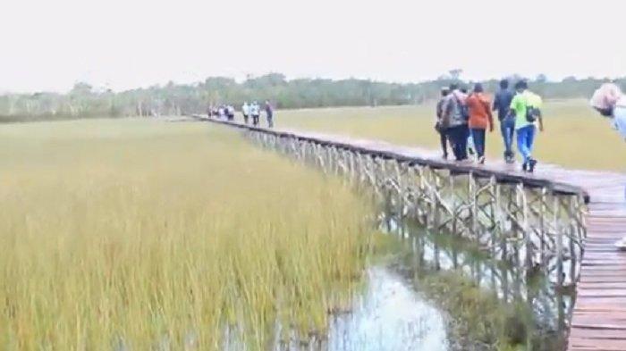 Belitung Tourism, Enjoy The View of The Endless Purun Swamp in Danau ...