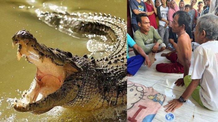 Sepasang Suami Istri di Bangka Selatan Diserang Buaya saat Mencari Ikan di Sungai, 1 Tewas ...