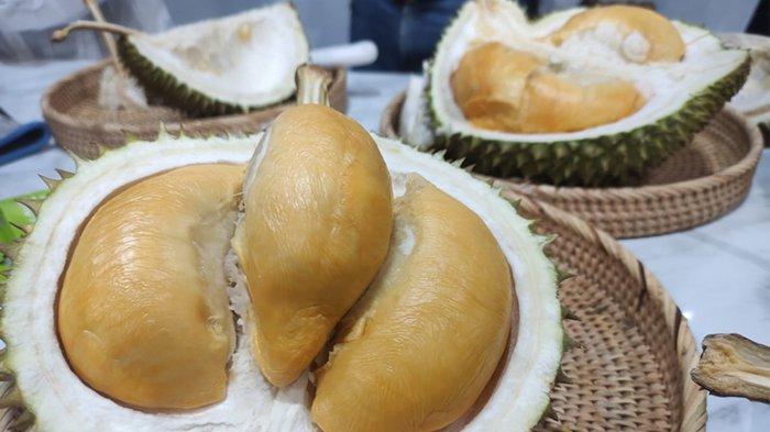 Durian Klamunod dari Bangka Barat Jadi Varietas Unggul Nasional, Segini Harga Per Kilogramnya ...