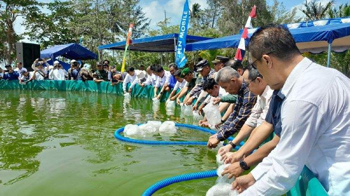 Tebar 80 Ribu Benur Vaname di Tambak Koperasi Desa Tanjung Rusa, Pangsa ...