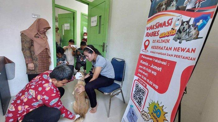 Kasus Rabies di Belitung Timur Zero, Simak Cara Penanganan Jika Digigit ...