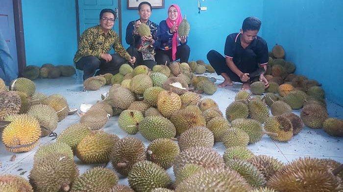 Pesta Durian di Bangka Barat, Namlung dan Super Tembaga Bangka Masuk Level Nasional - Posbelitung.co