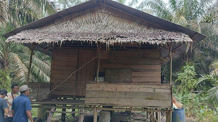 BREAKING NEWS: Warga Temukan Mayat Laki-laki Telungkup di Pondok Sawit ...