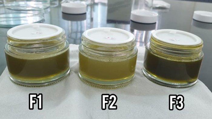 Krim Anti-Aging dari Daun Resam dan Limbah Jeruk Kunci, Inovasi Tim PKM ...