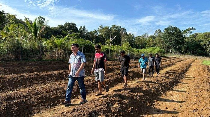 Kamarudin Muten Ajak Generasi Muda Beltim Terjun ke Pertanian Modern ...