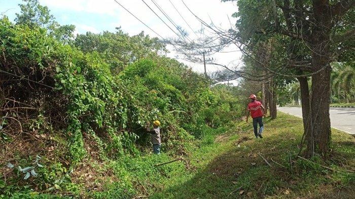 PLN Icon Plus Tingkatkan Kualitas Jaringan Fiber Optik di Jalur Bandara ...