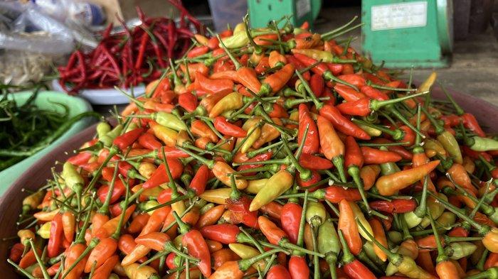 Jelang Ramadhan 2025, Harga Cabai Rawit di Pangkalpinang Babel Masih Tinggi, Daya Beli Meningkat ...
