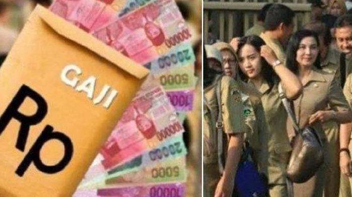 Gaji PPPK Tahun 2025 Lulusan SMA dan S1, Rincian Lengkap dari SD Hingga S3 PPPK Penuh Waktu ...