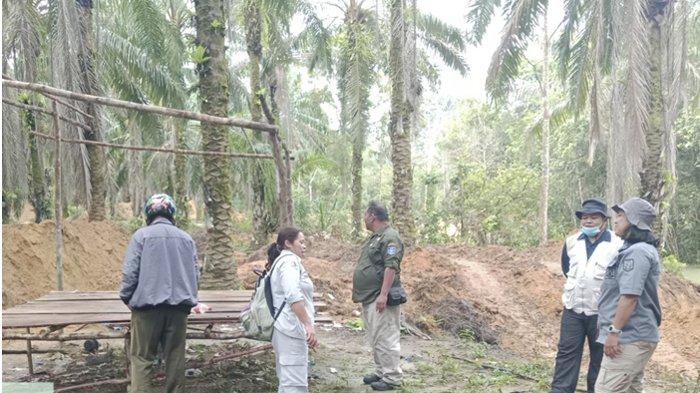 UPT KPHL Belantau Mendanau Razia Kawasan Hutan Gunung Tikus Belitung Terkait Dugaan Tambang ...