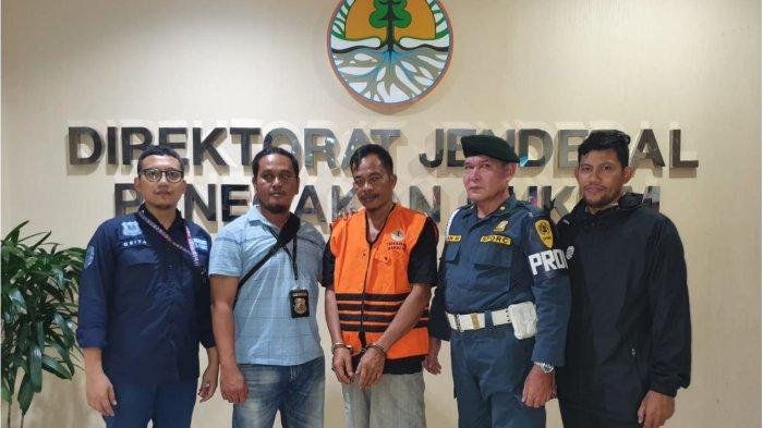 DPO Kasus Tambang Timah Ilegal di Bangka Belitung Ditangkap Gakkum KLHK di Palembang ...