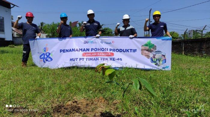PT Timah Tbk Tanam 48.000 Pohon untuk HUT ke-48: Dukungan Pelestarian ...