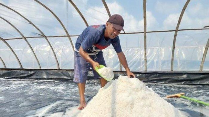 Produksi Garam MGL Meningkat Berkat Dukungan PT Timah - Posbelitung.co