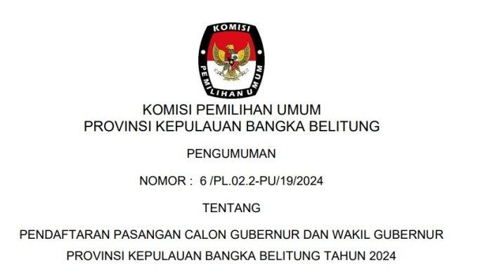 Inilah Daftar 101 Cagub dan Cawagub di 37 Provinsi, dari Aceh hingga Papua - Halaman all ...