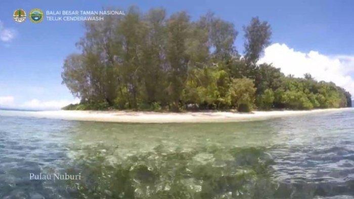 Wisata Bumi Cenderawasih, Misteri Pulau Tak Berpenghuni hingga Kawasan ...