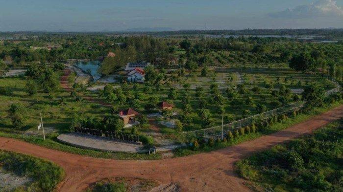 Wisata Belitung Timur Kampong Reklamasi Selinsing Wujud Tata Lahan ...