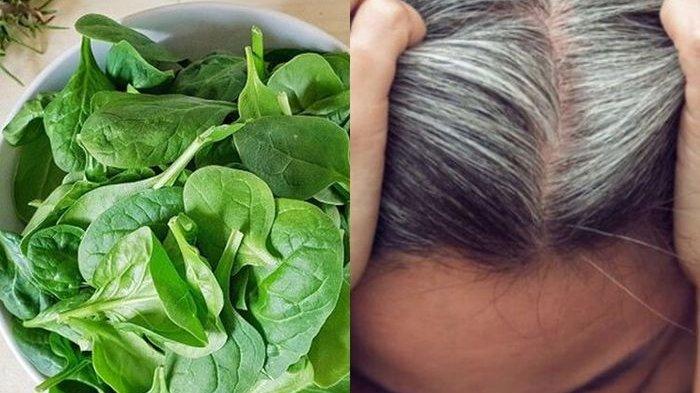 Basmi Uban Sampai Akar-akarnya Hanya Pakai Sayur Bayam, Begini Cara ...