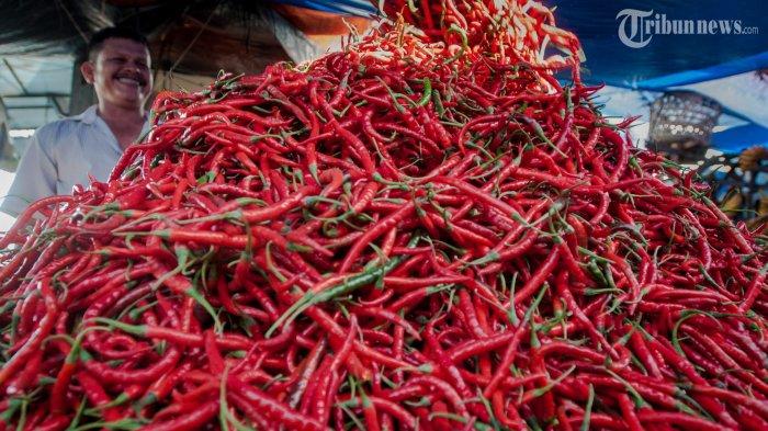 Simak 5 Cara Menyimpan Cabai agar Tak Mudah Busuk, Bisa Awet Sampai 3 ...