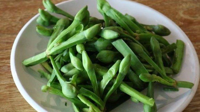 Melancarkan Pencernaan hingga Cegah Kanker, Ini Deretan Manfaat Genjer ...