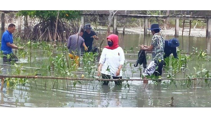 Kemenparekraf Gandeng 100 Pelaku Pariwisata, Gerakan BISA Sasar Destinasi Mangrove Park Gusong ...