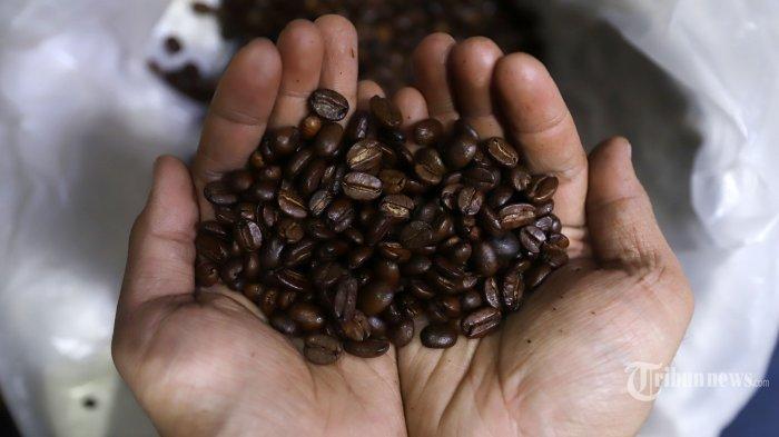 Mengenal Cascara, Kulit Biji Kopi Kering yang Bisa Dimanfaatkan Jadi ...