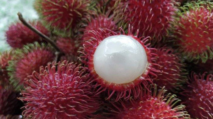 Mengenal Jenis-jenis Rambutan yang Enak, Ada Rambutan Rapiah hingga ...