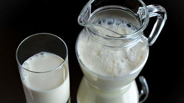 Mengapa Ada yang Orang Lebih Suka Makan Biskuit Dicelupkan ke Susu? Ini ...