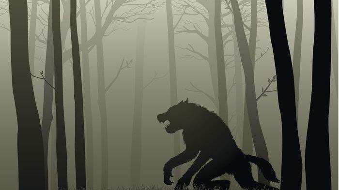 Asal-usul Cerita Manusia Serigala yang Begitu Terkenal - Posbelitung.co