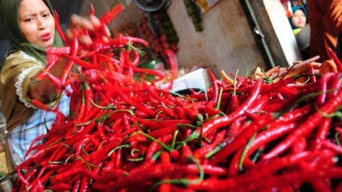Penyebab Deflasi di Bangka Belitung September 2024, Harga Cabai Turun Ancam Petani Lokal ...