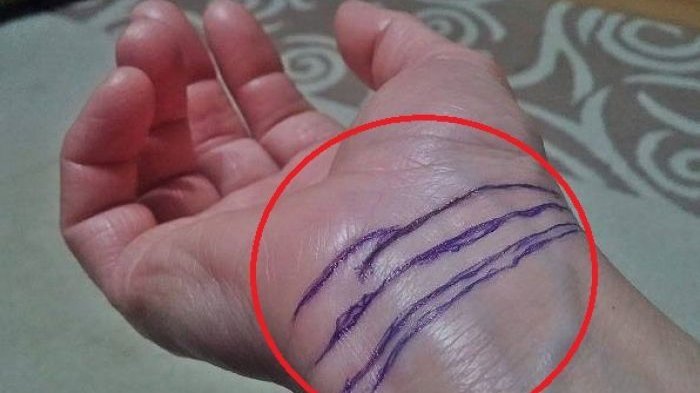 Ternyata Garis di Pergelangan Tangan Anda Memiliki Arti, Begini Cara ...