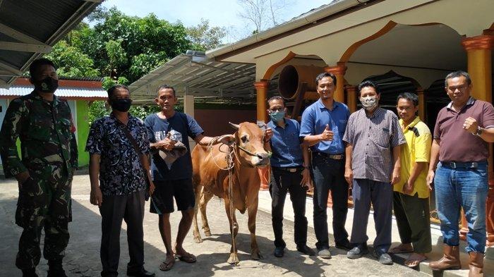 PT Agro Makmur Abadi Sedekah Enam Ekor Sapi Hari Raya Kurban ...
