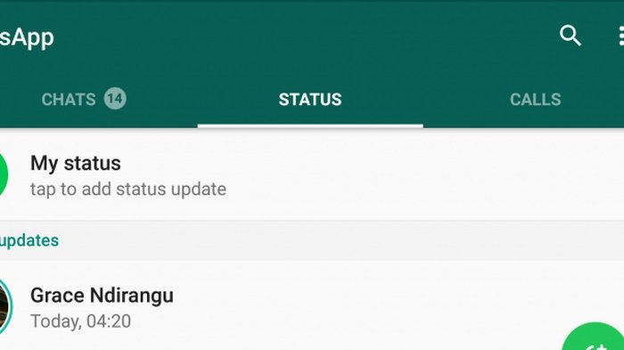 Pengen Status WA Dilihat Lebih Lama? Begini Loh Caranya, Bisa Juga ...