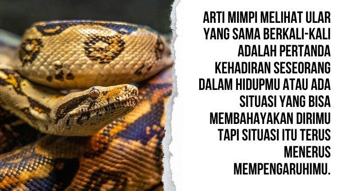 11 Arti Mimpi Melihat Berbagai Jenis Ular, Pertanda Bahaya Hingga ...