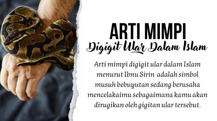 6 Arti Mimpi Digigit Ular Kadut dalam Islam Menurut Ulama Ahli Tafsir ...