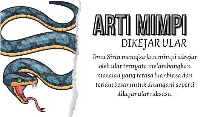 6 Arti Mimpi Dikejar Ular dalam Islam, Simbol Perasaan Cemas atau ...