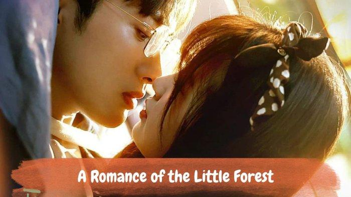 Link Nonton Streaming Drama China A Romance of the Little Forest ...