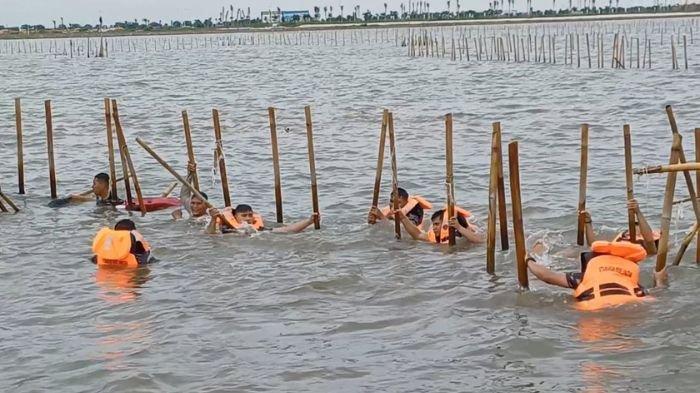 ALASAN Pagar Laut di Tangerang Harus Dibongkar, Padahal Melindungi Wilayah dari Ombak Tinggi ...