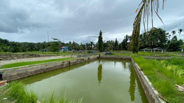 Dinas Perikanan Mukomuko Alokasikan Rp 400 Juta Untuk Perbaiki BBI Untuk Tingkatkan Produksi ...