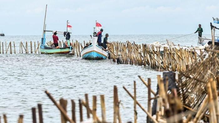 Apa Tujuan Sebenarnya Pembuatan Pagar Laut 30 Km di Tangerang yang Diduga Milik Agung Sedayu ...