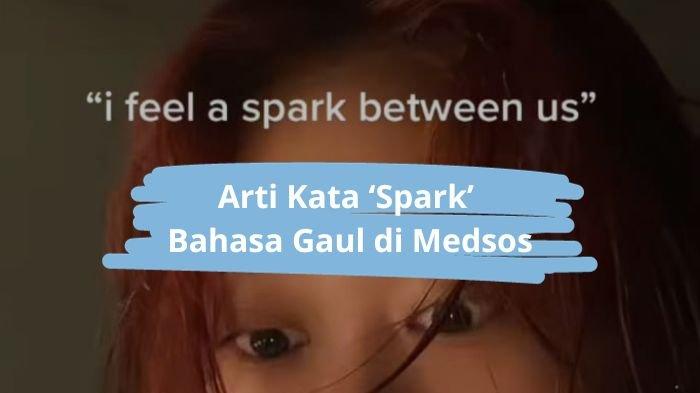 Arti Kata ‘Spark’ yang Sering Muncul di TikTok, Ternyata Ini Contoh ...