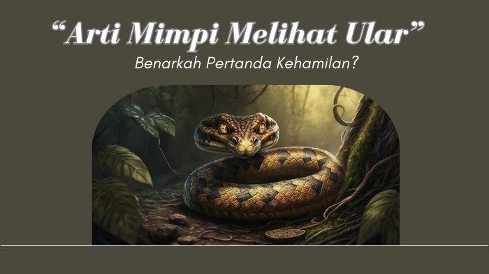 Arti Mimpi Melihat Ular Ternyata Pertanda Kehamilan, Simak Lengkap dengan 30 Arti Mimpi Lainnya ...