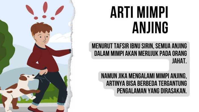 6 Arti Mimpi Anjing Menurut Islam dan Dalil Al Quran, Kamu Harus ...